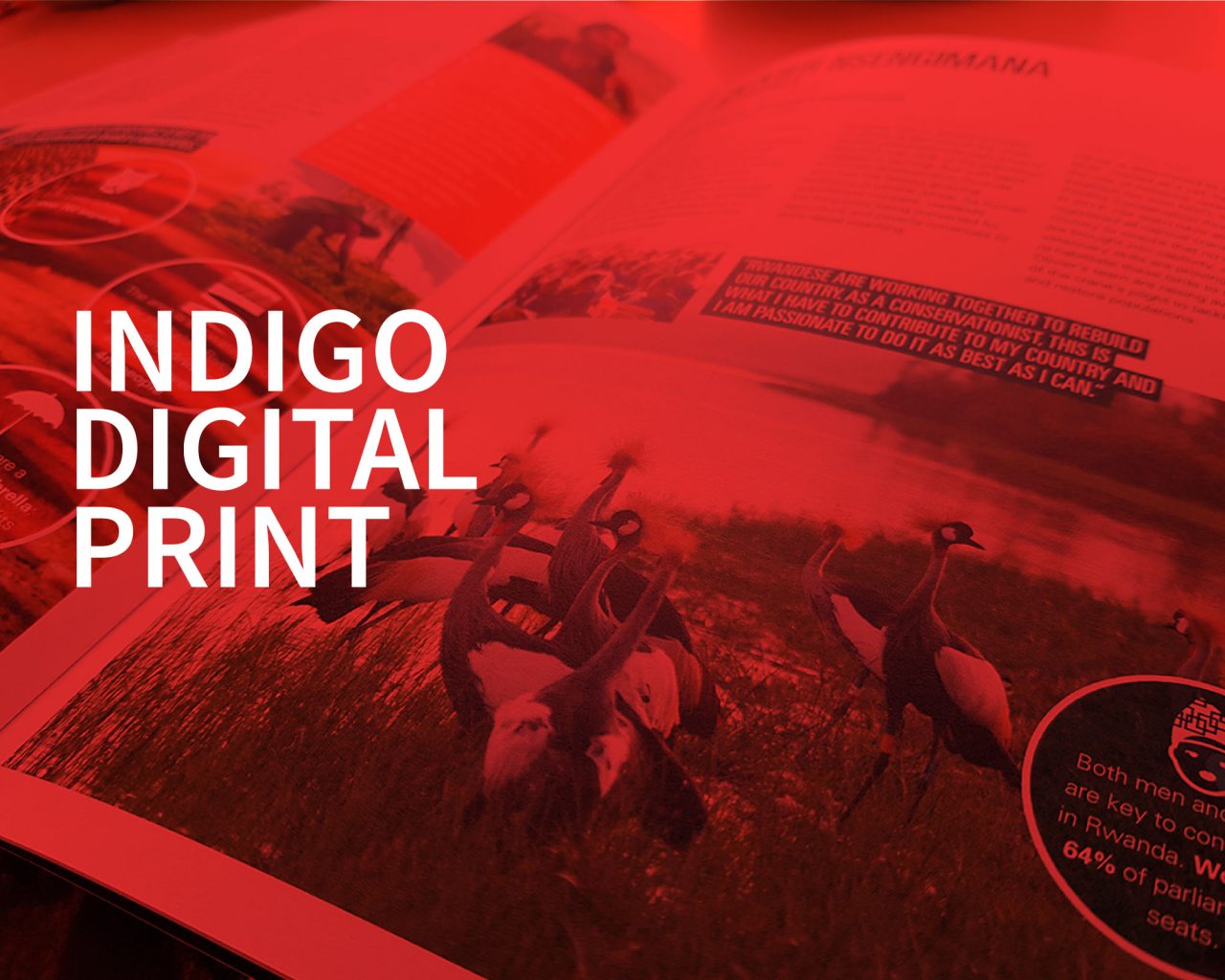 Indigo Digital Printing – Elephant Print